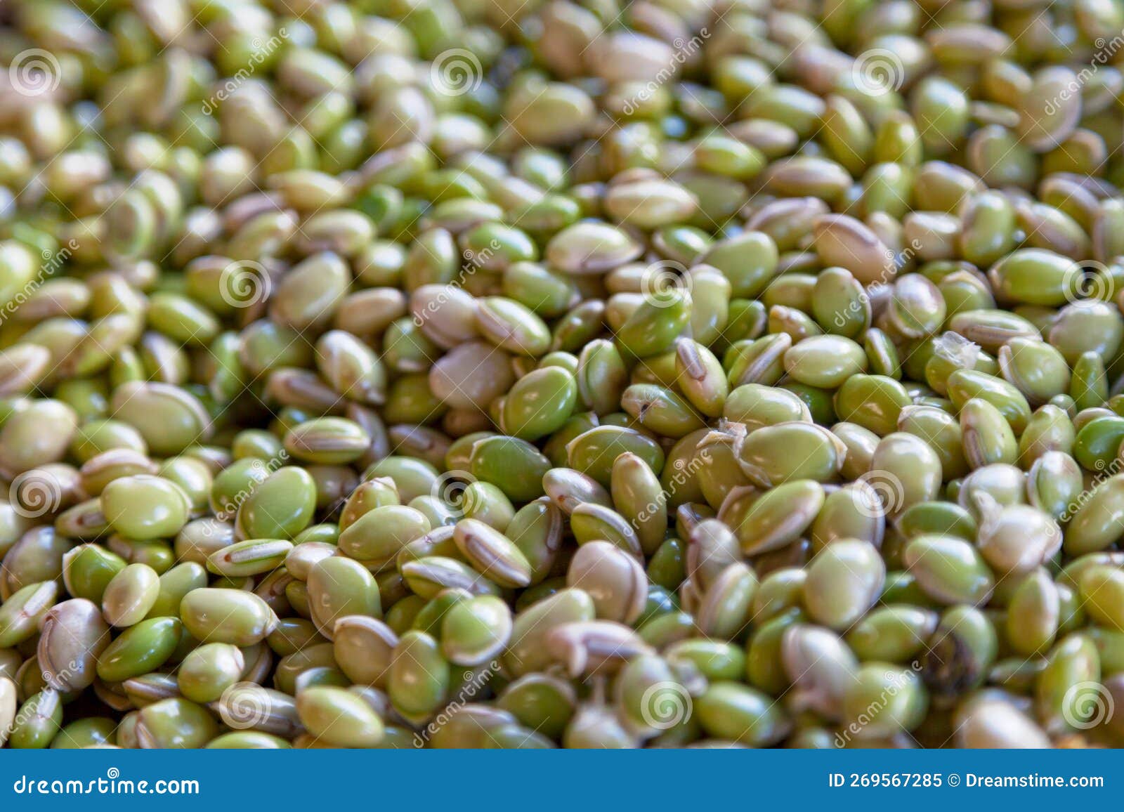 Stack of Mung Beans on a Market Stall Stock Image - Image of market ...