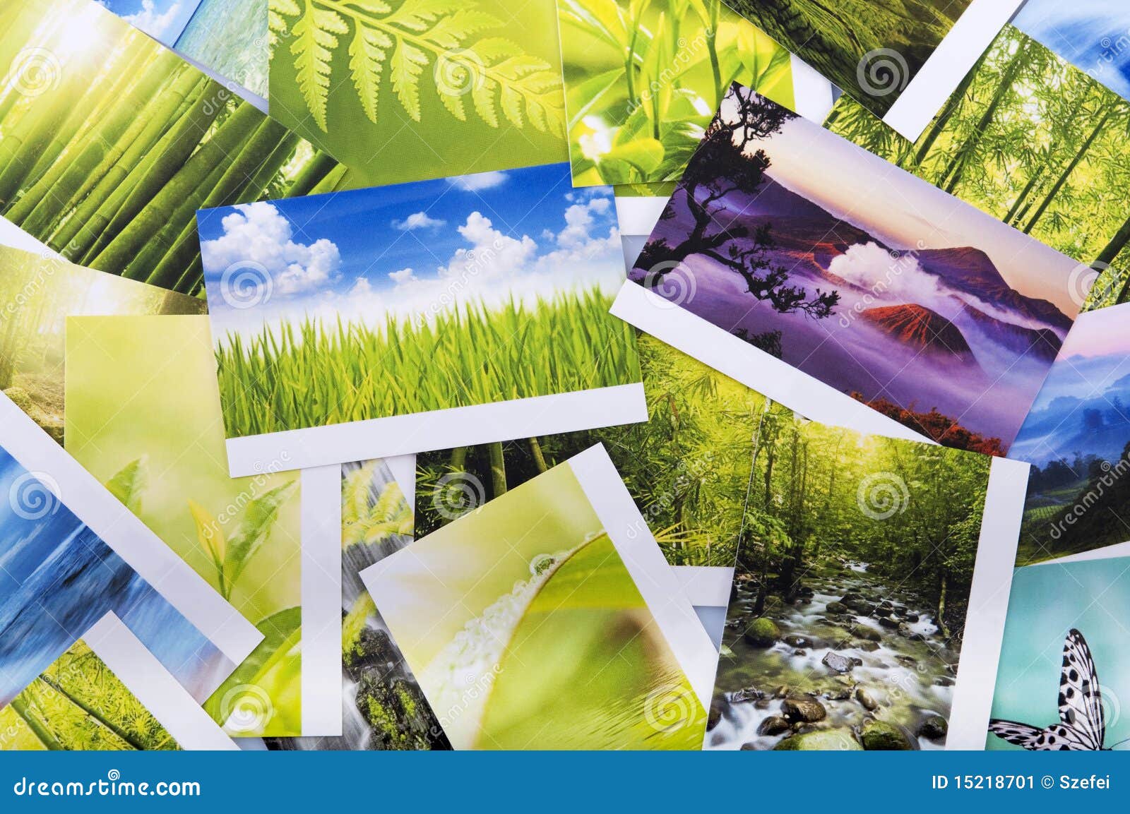 Stack of nature photo stock image. Image of butterfly - 15218701