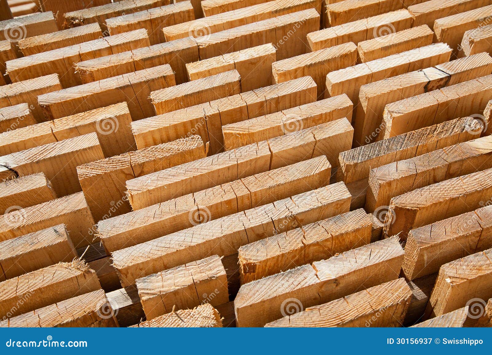 Fresh wooden studs stock image. Image of stack, detail - 30156937