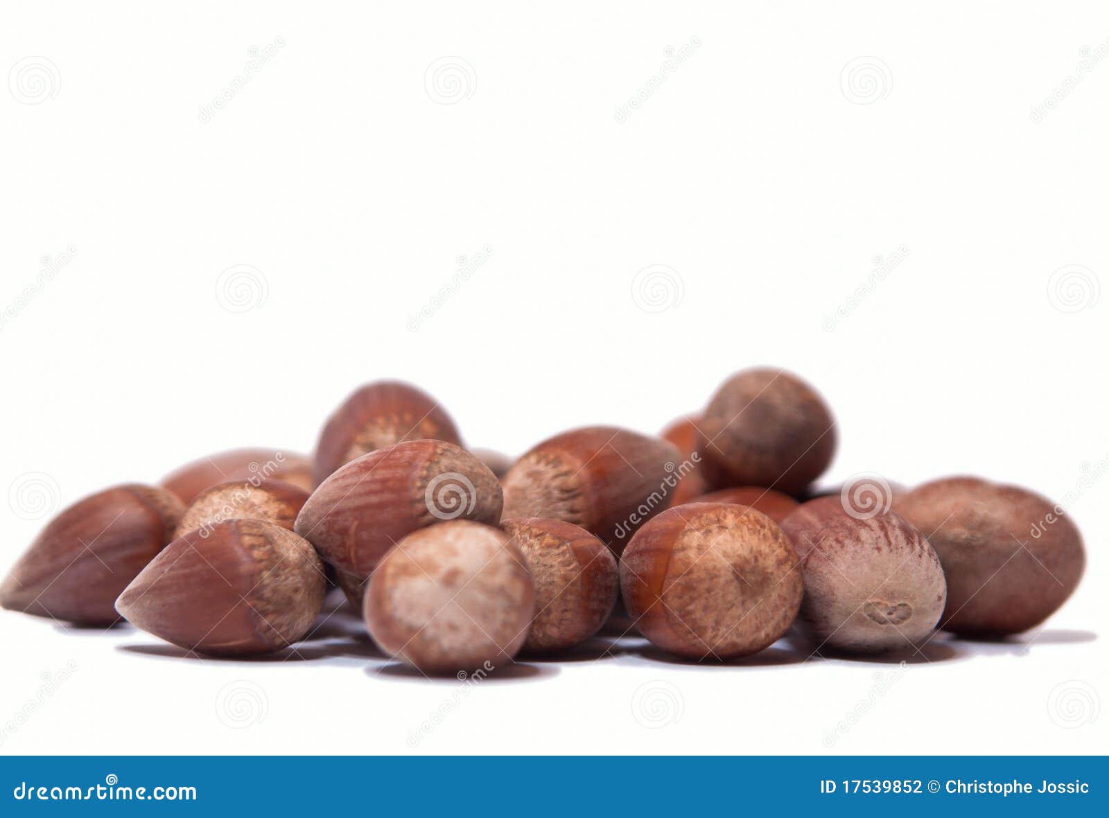 Stack of nuts stock photo. Image of hazelnut, white, walnut - 17539852