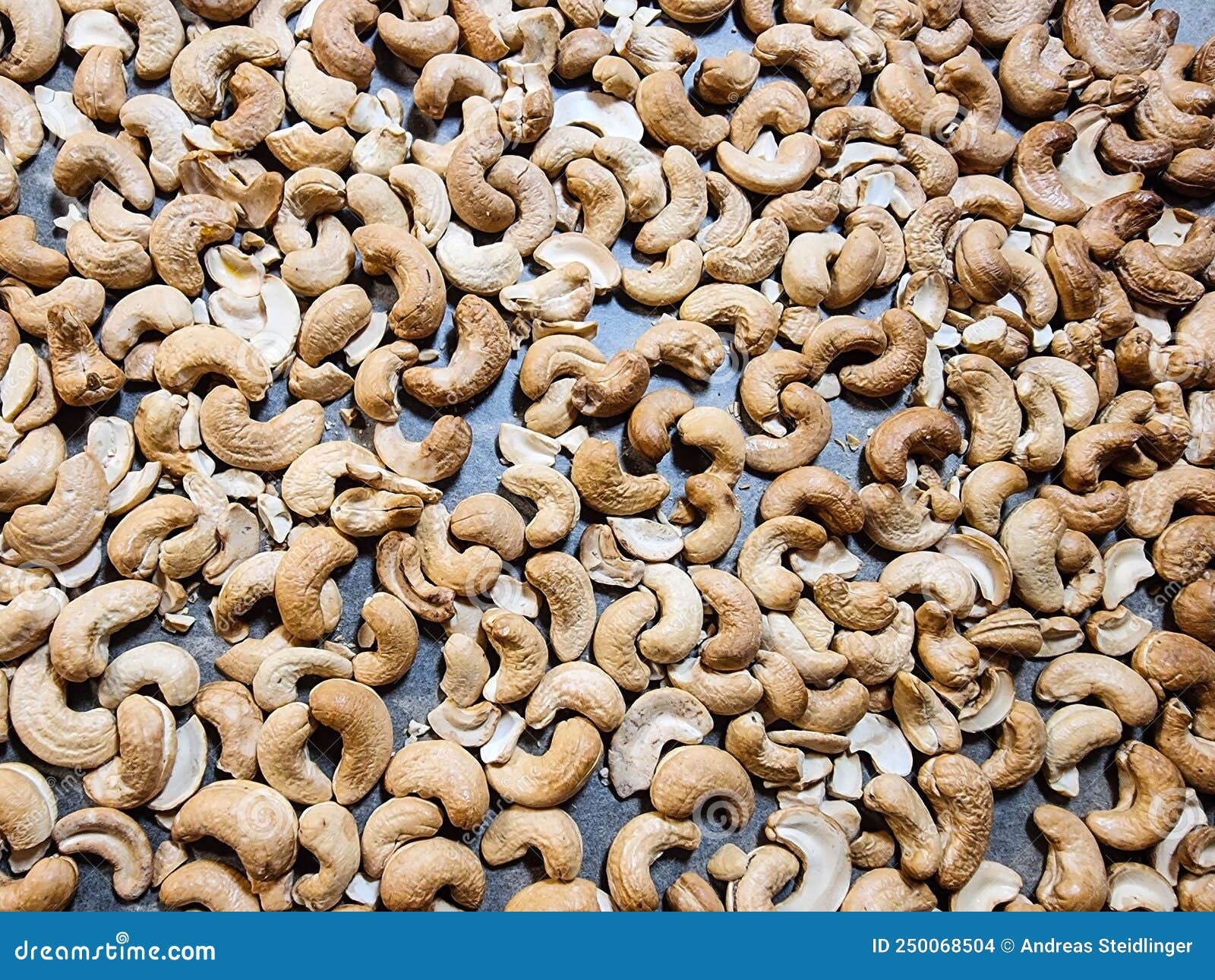 Stack of nuts stock photo. Image of blooming, flora - 250068504