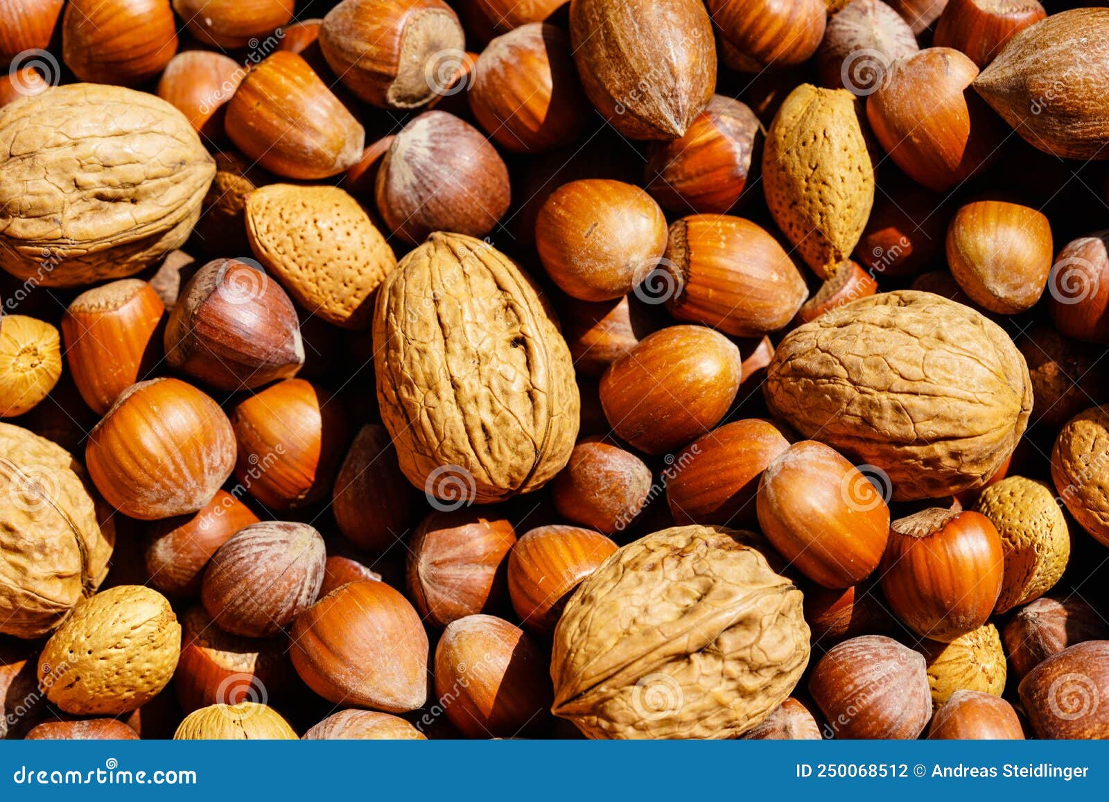Stack of nuts stock photo. Image of almond, flora, hasel - 250068512