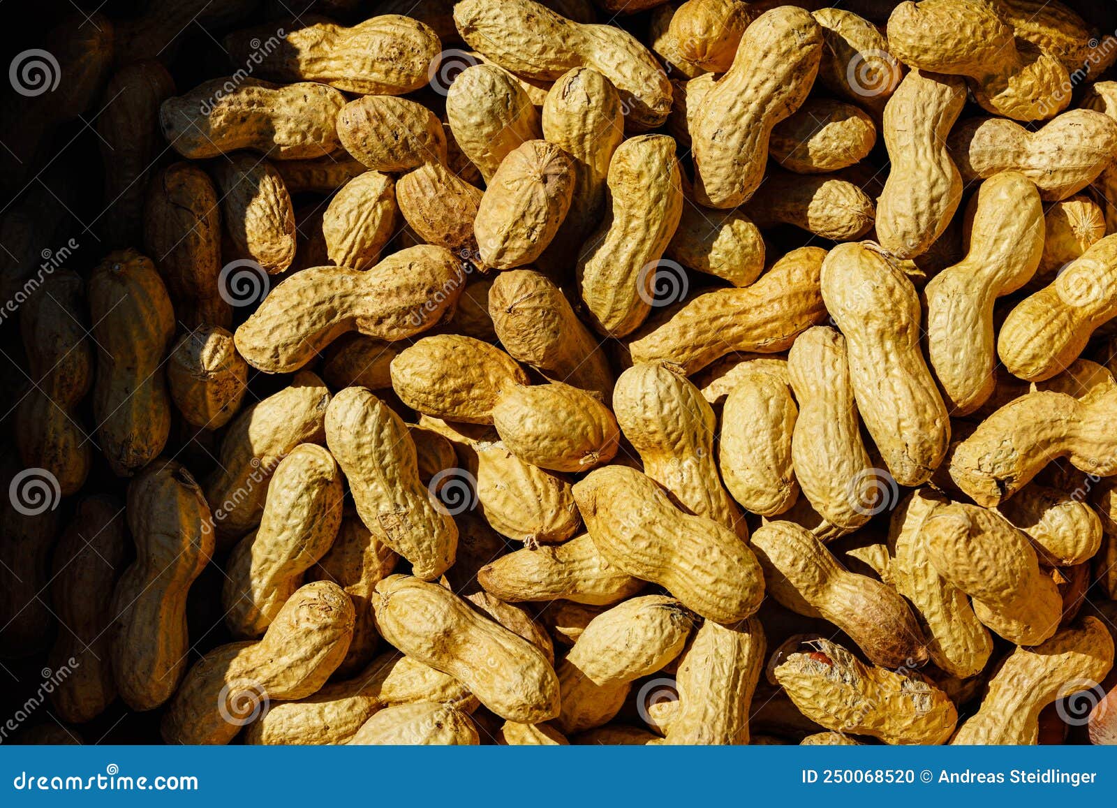 Stack of nuts stock photo. Image of healthy, hazelnut - 250068520