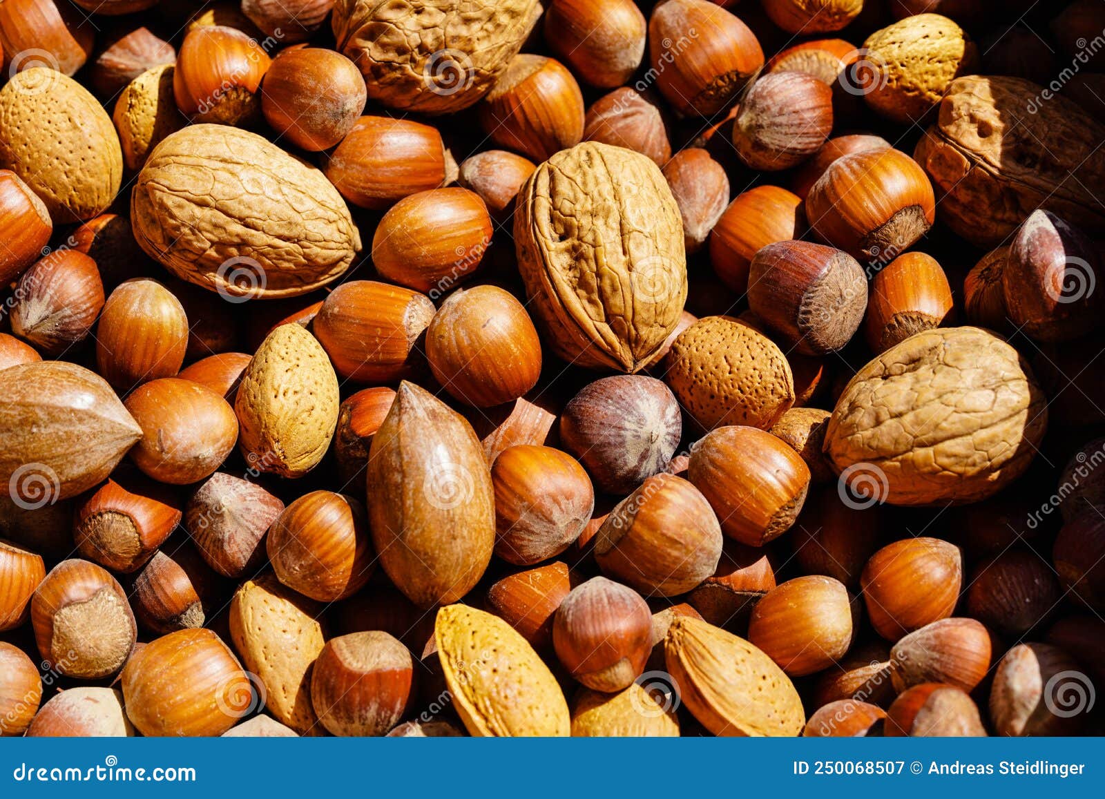 Stack of nuts stock image. Image of assortment, hasel - 250068507