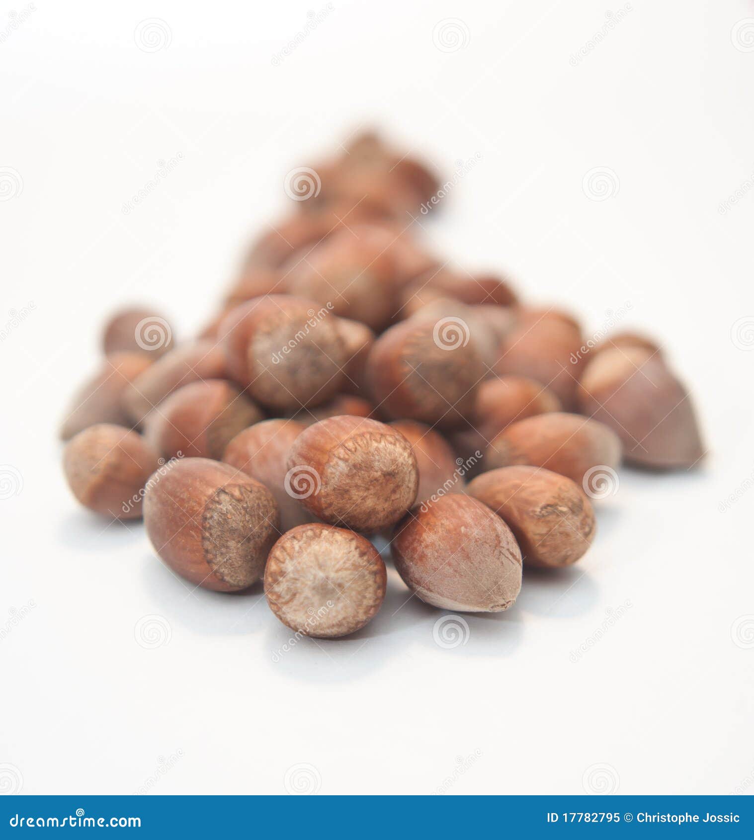 Stack of Nuts on a White Background Stock Image - Image of hazel, white ...