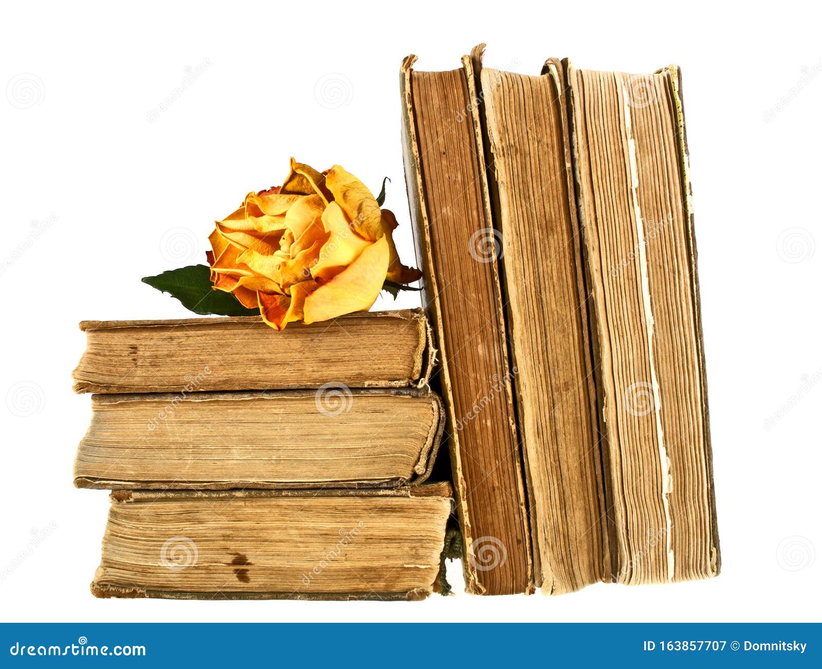 Stack of Old Books and Faded Rose on a White Background Stock Image ...