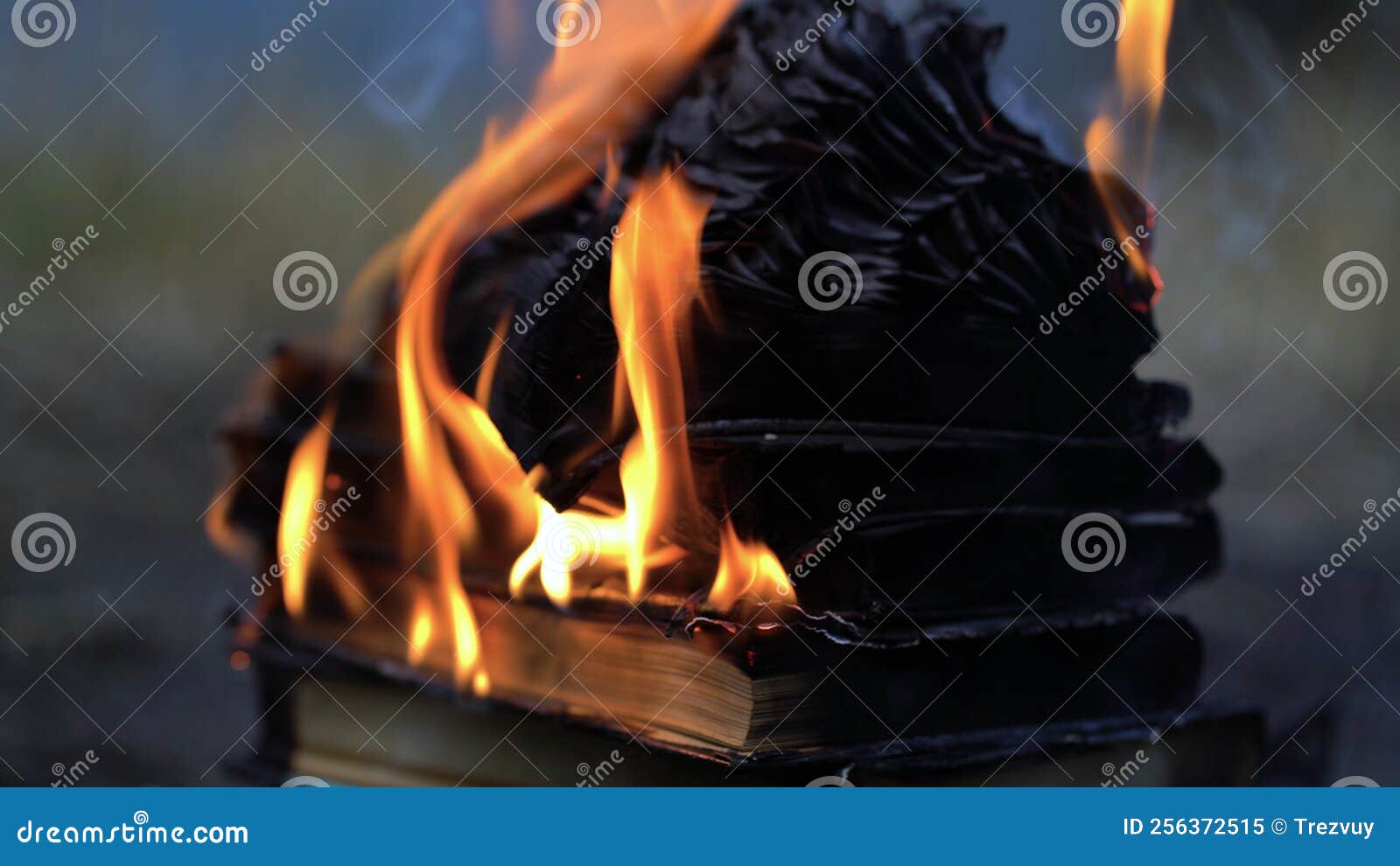 A Stack of Old Books on Fire Burns on the Ground Stock Image - Image of ...