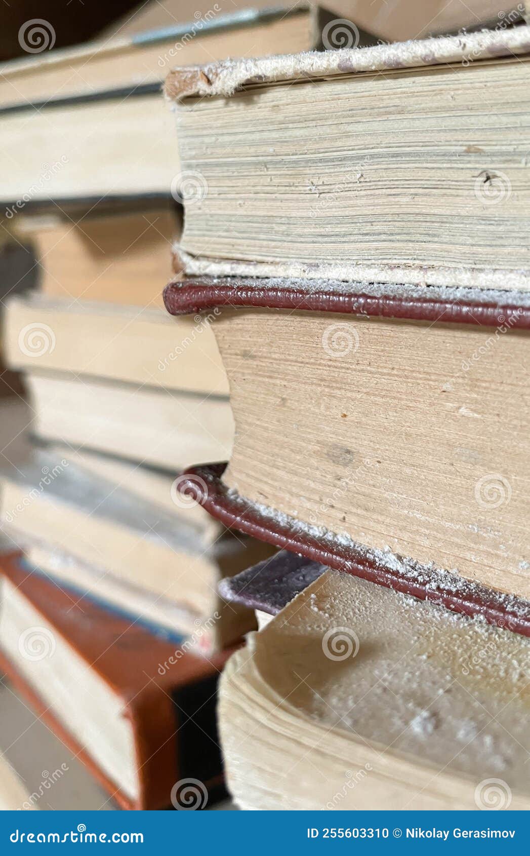 A Stack of Old Books in the Sunlight. Stock Photo - Image of antique ...