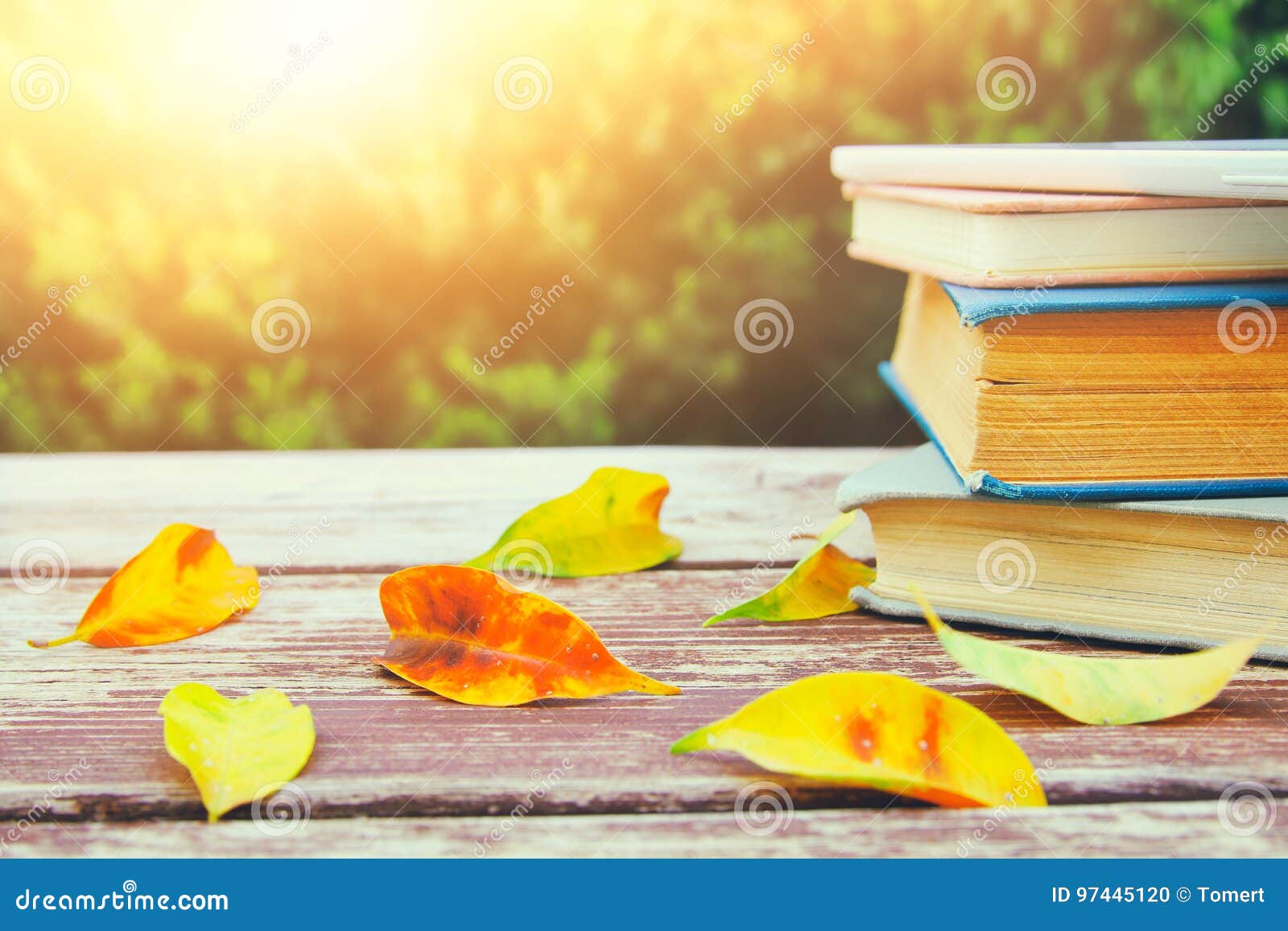 Stack of Old Books on Wooden Table Outdoors at Afternoon Stock Photo ...