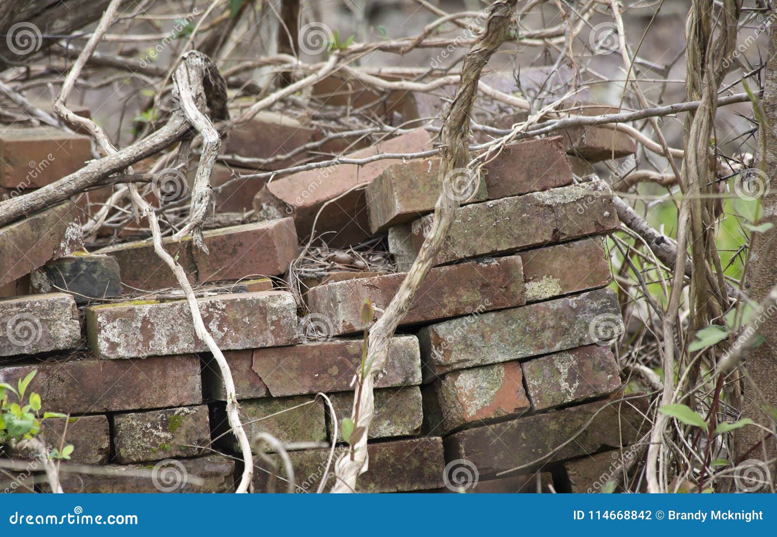 Stack of Abandoned Bricks stock photo. Image of clay - 114668842