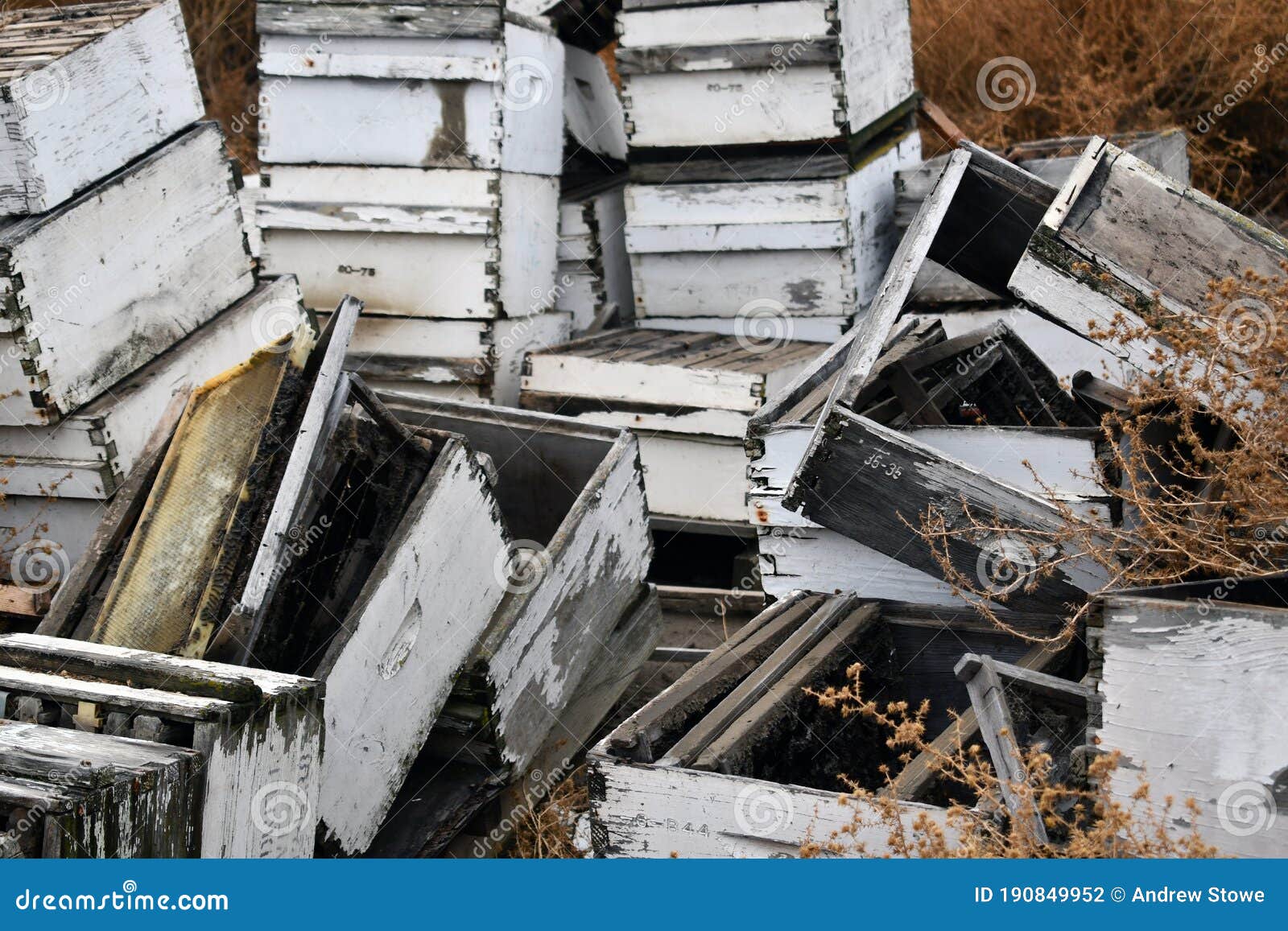Stack of Old Broken Honey Bee Hives Stock Photo - Image of nature ...
