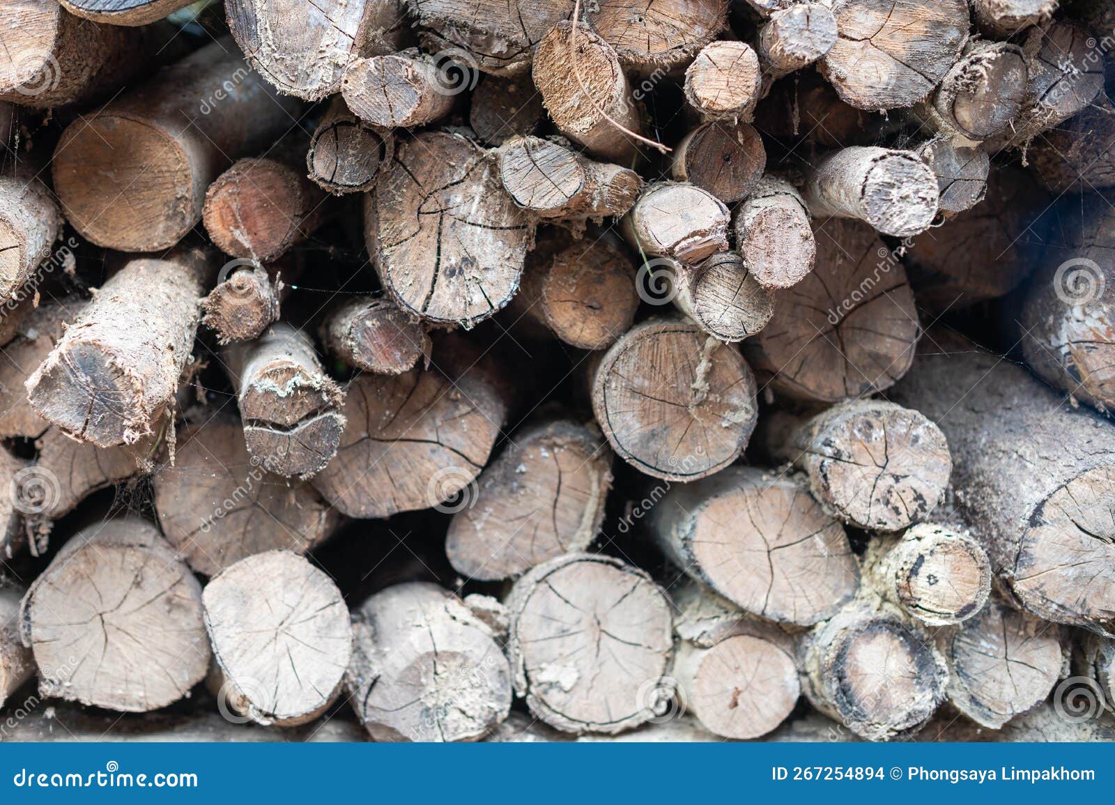 Stack of Old Logs. Wood Material for Heating Prepare for Burn in Cold ...