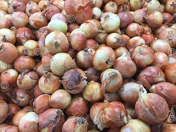 Stack of onions stock image. Image of vegetable, freshness - 148237869