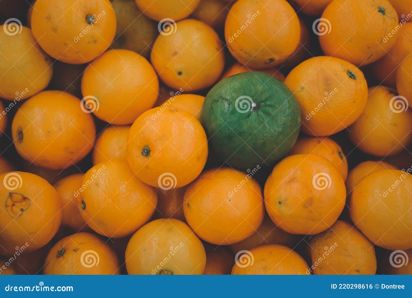 Stack of Orange Fruit with One Green Orange Placed on Top Stock Orange ...