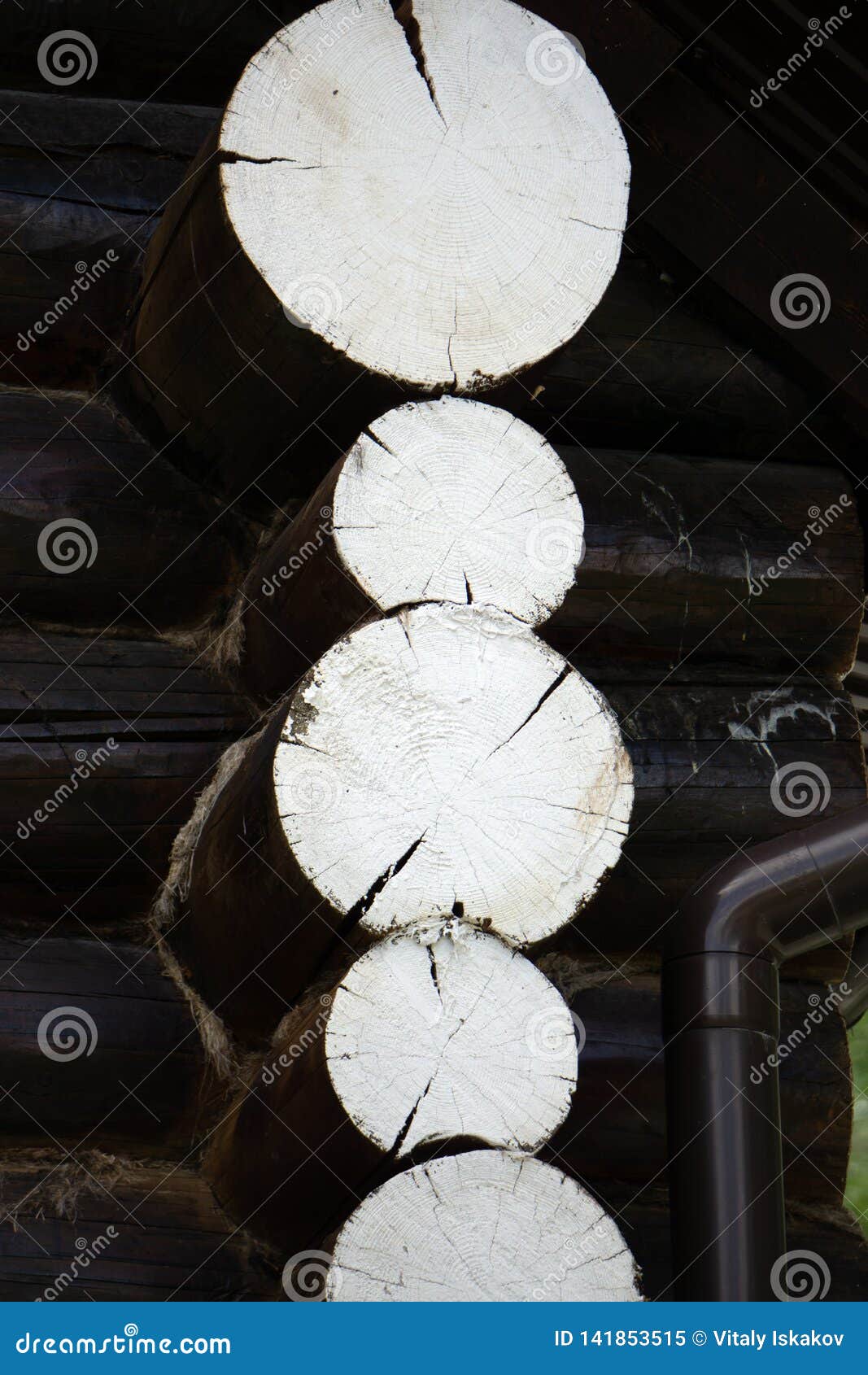Stack of Painted Tree Trunks with Various Colors in Park Stock Image ...