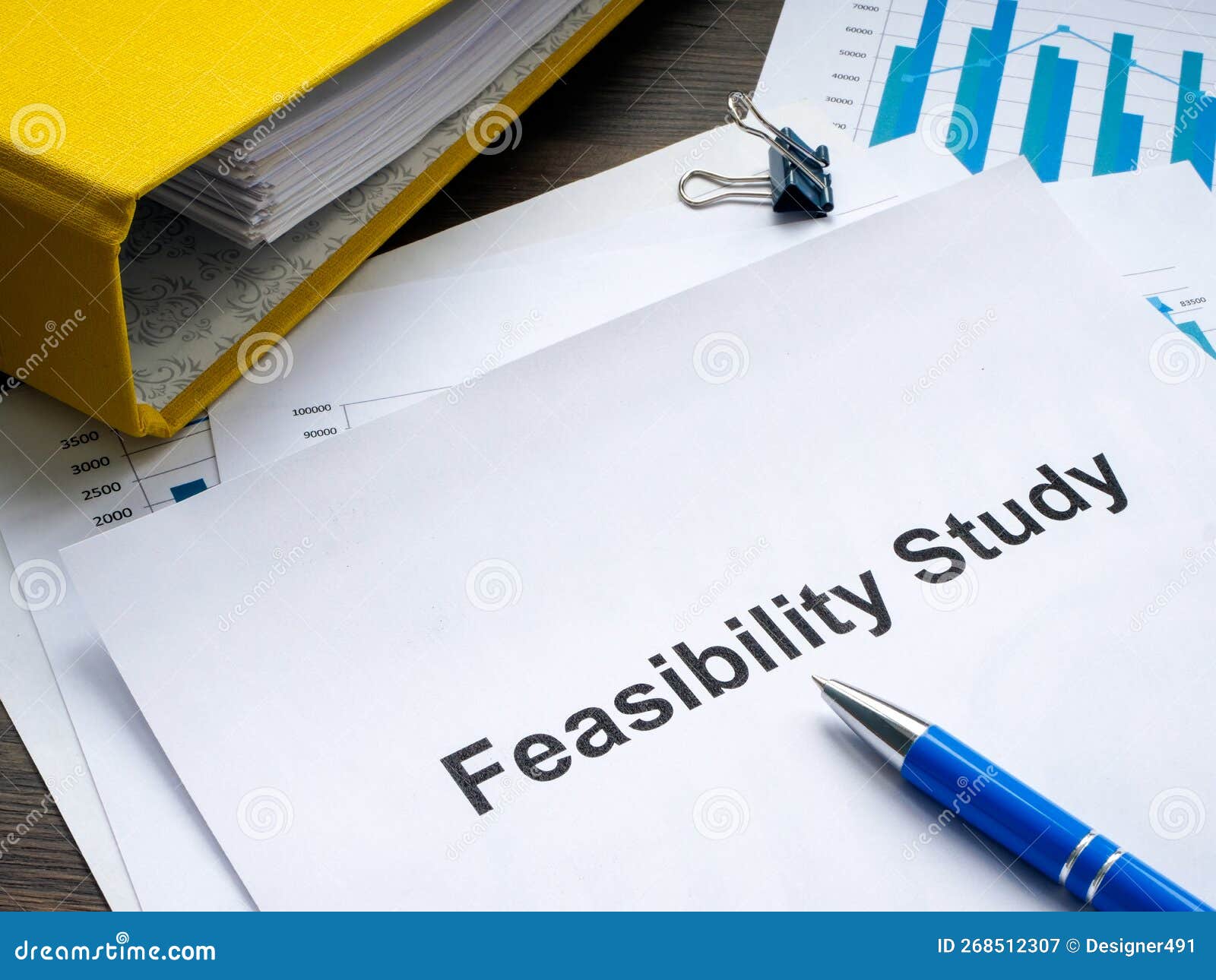 Feasibility Study - Assessment Of The Practicality Of A Proposed ...
