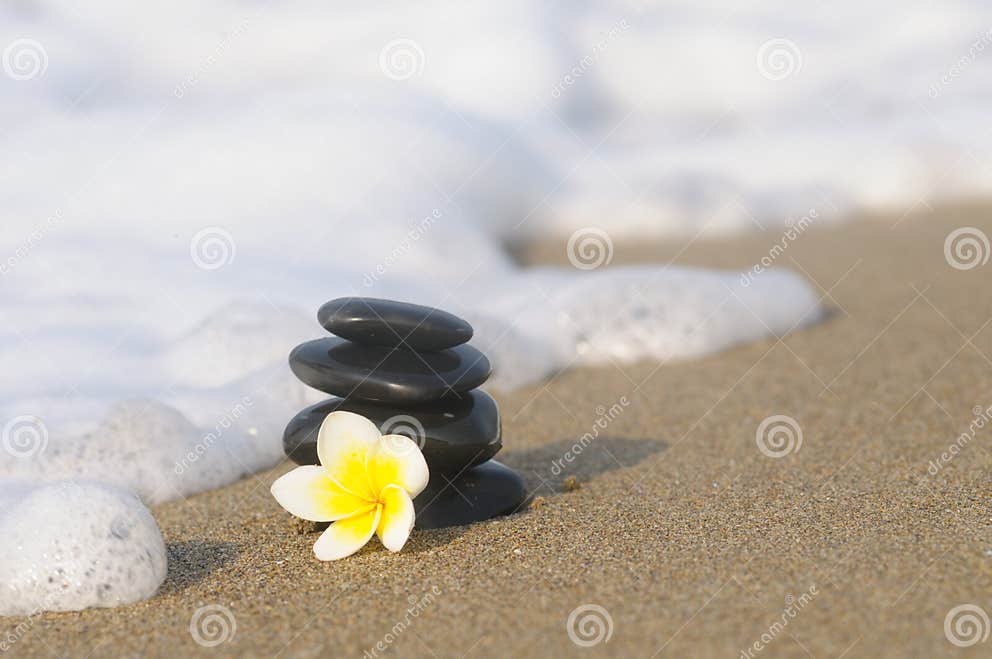 Stack of Pebbles with Flower Stock Image - Image of summer, purity: 6615065