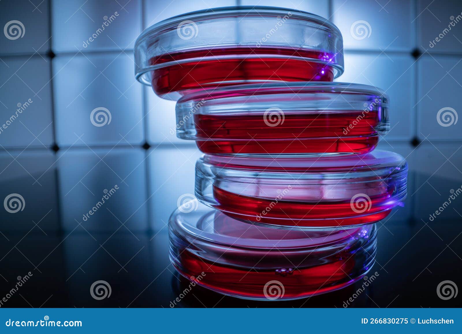 A Stack of Petri Dishes with Red Liquid on a Mirror Table Stock Image ...