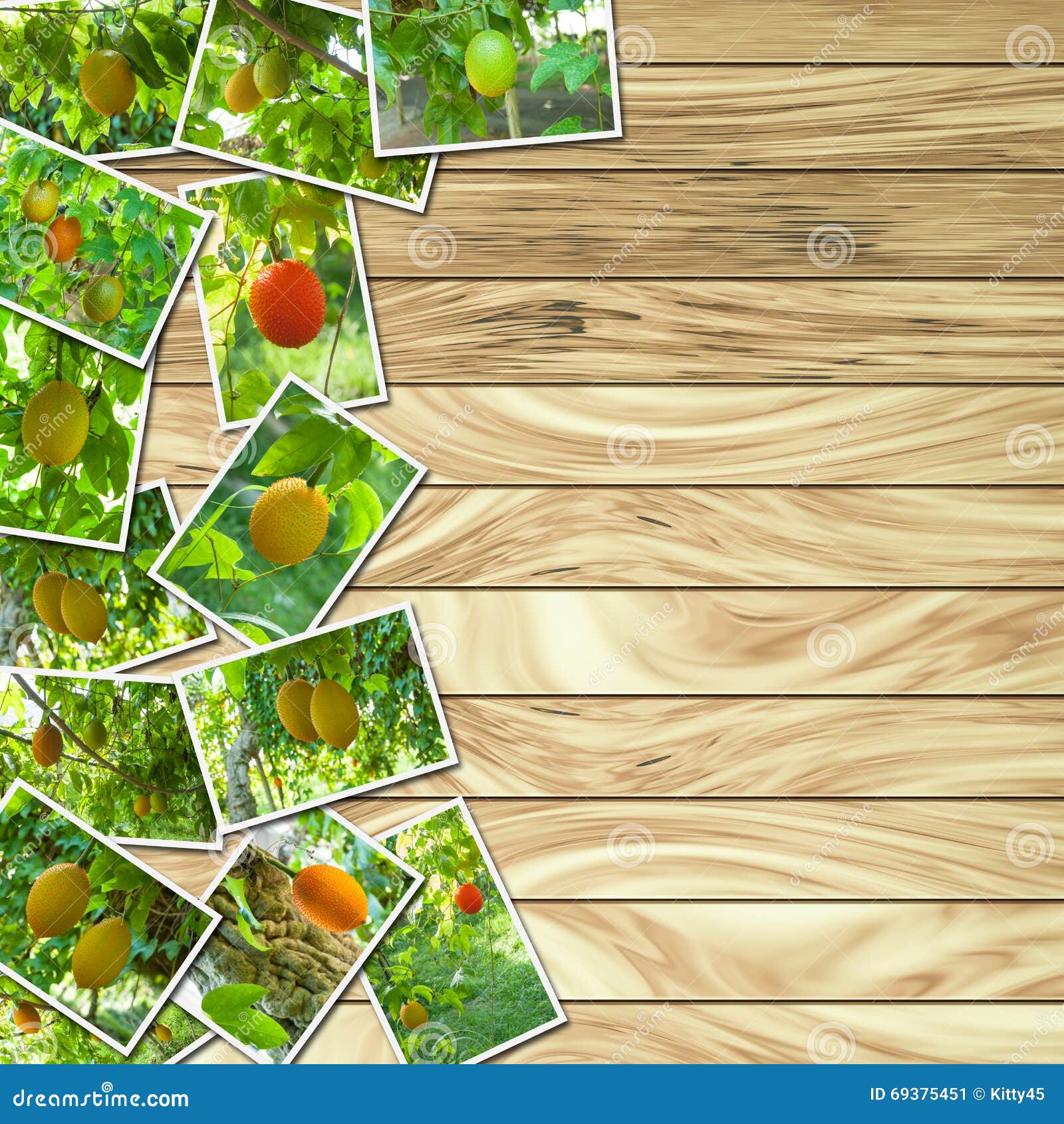 Stack Of Old Photos Isolated | CartoonDealer.com #43668168