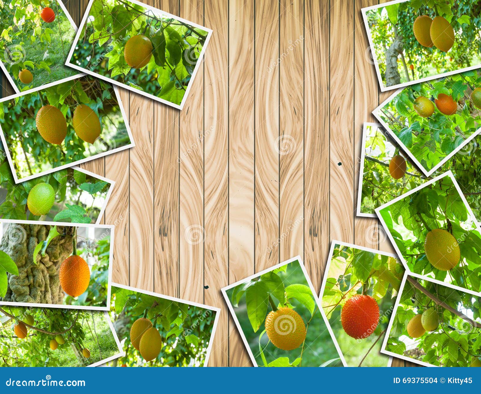 Stack Of Old Photos Isolated | CartoonDealer.com #43668168