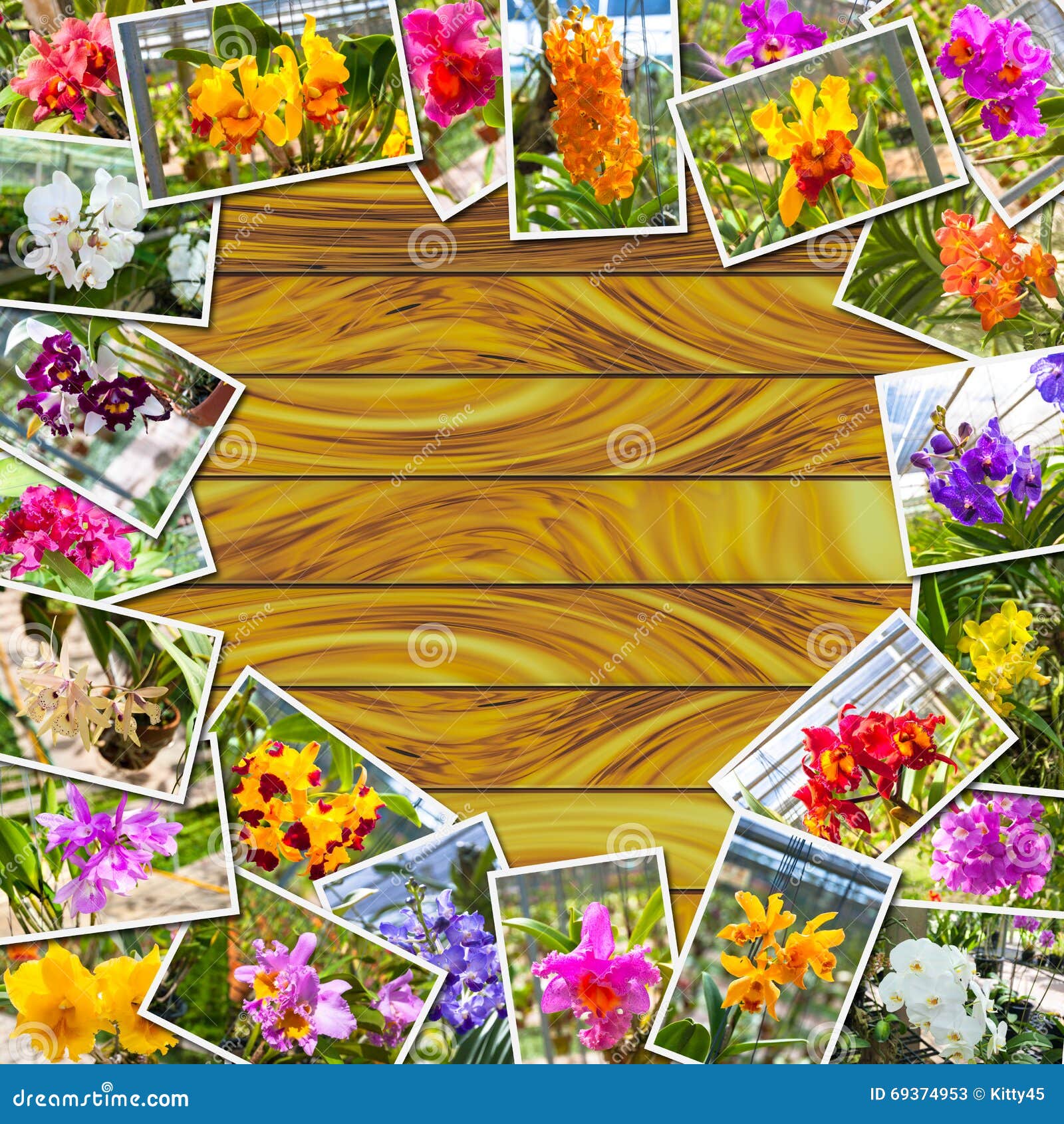 Stack Of Old Photos Isolated | CartoonDealer.com #43668168