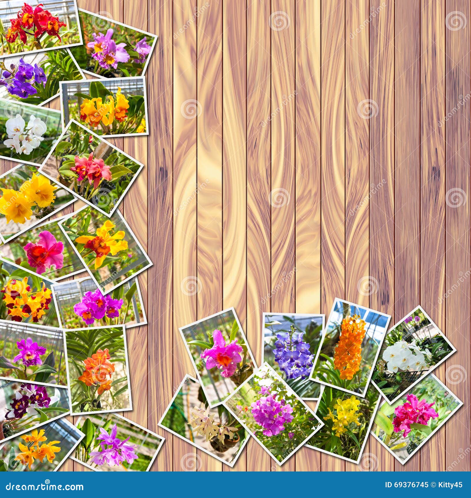 Stack Of Old Photos Isolated | CartoonDealer.com #43668168