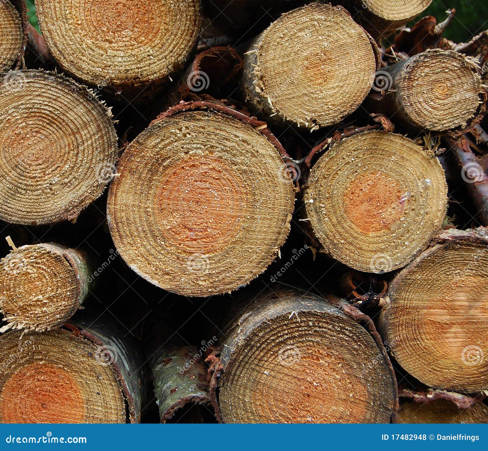 Stack / pile of logs stock photo. Image of pattern, grain - 17482948