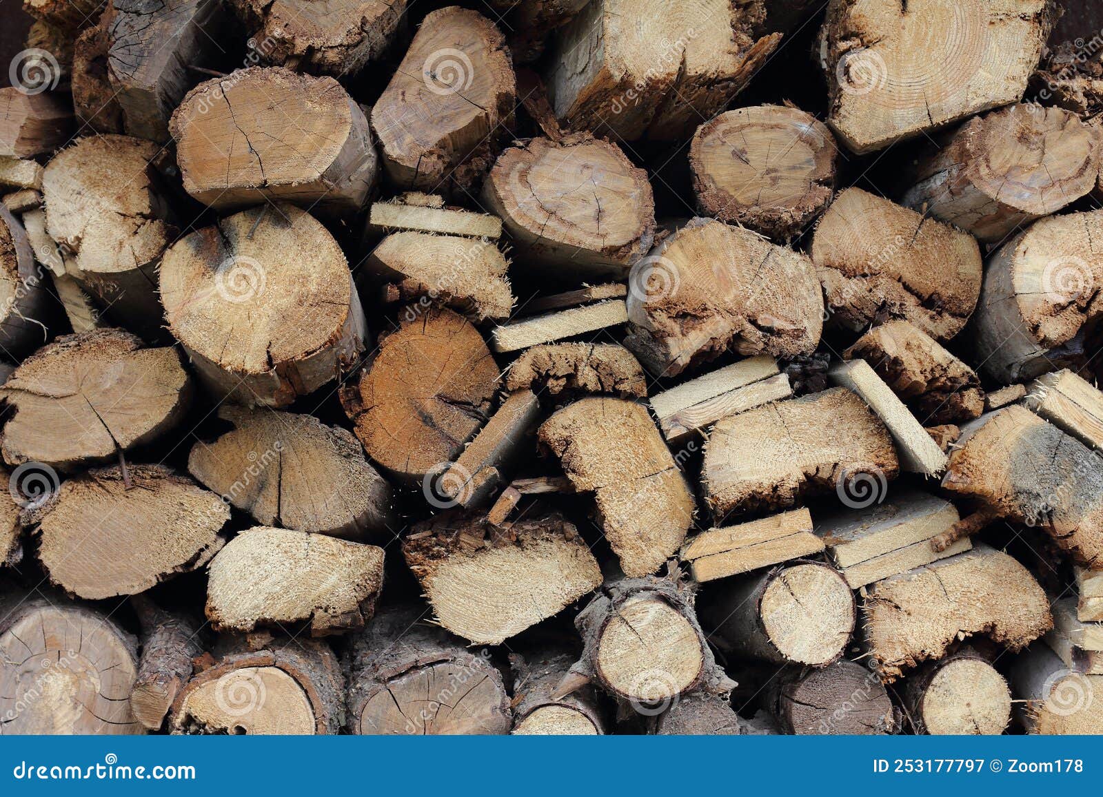 Drying Firewood Prepared for Winter Stock Image - Image of hardworking ...
