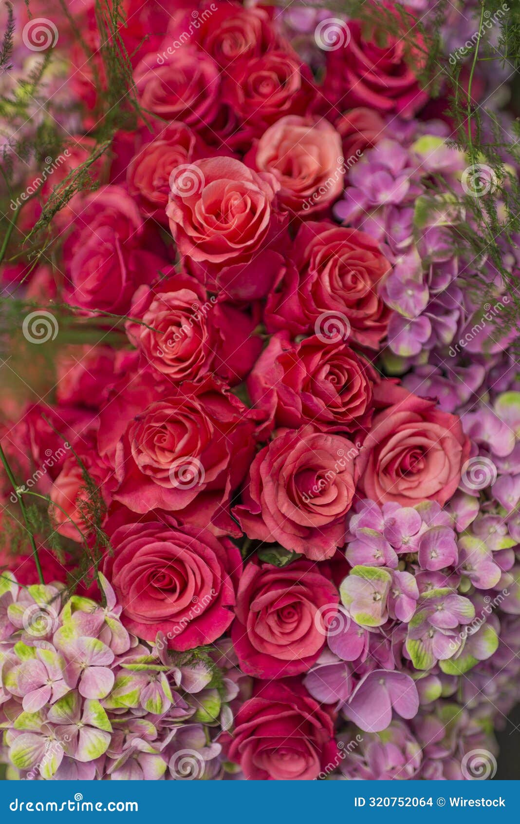 Stack of Pink and Purple Roses with Green Stems and Flowers Stock Photo ...