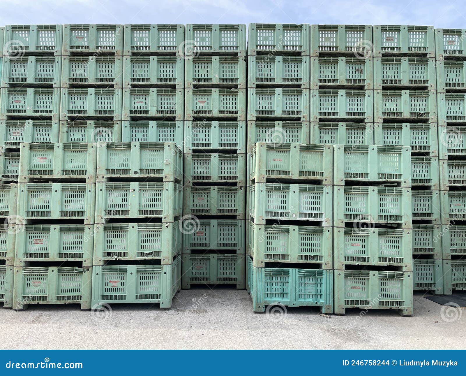 Stack of Plastic Crates of Solid Green Color Outside Storage of ...