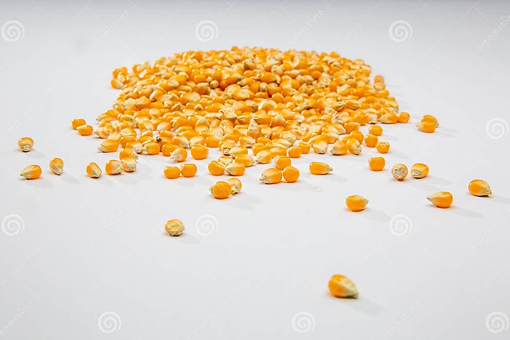 Stack of Popcorn Kernels Scattered on a White Background Stock Photo - Image of vanishing ...