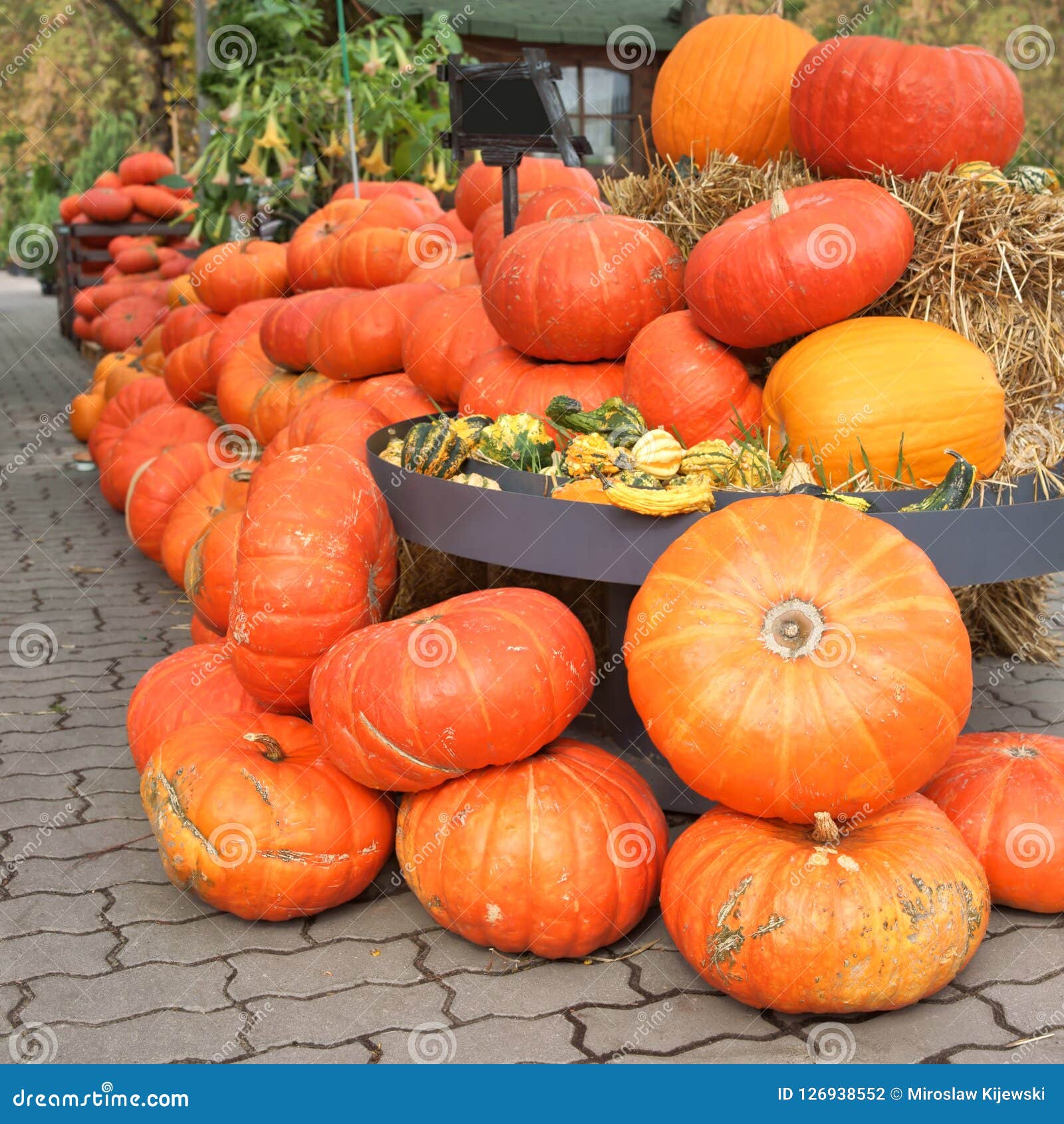 Stack of Pumpkins, Halloween Stock Photo - Image of food, season: 126938552