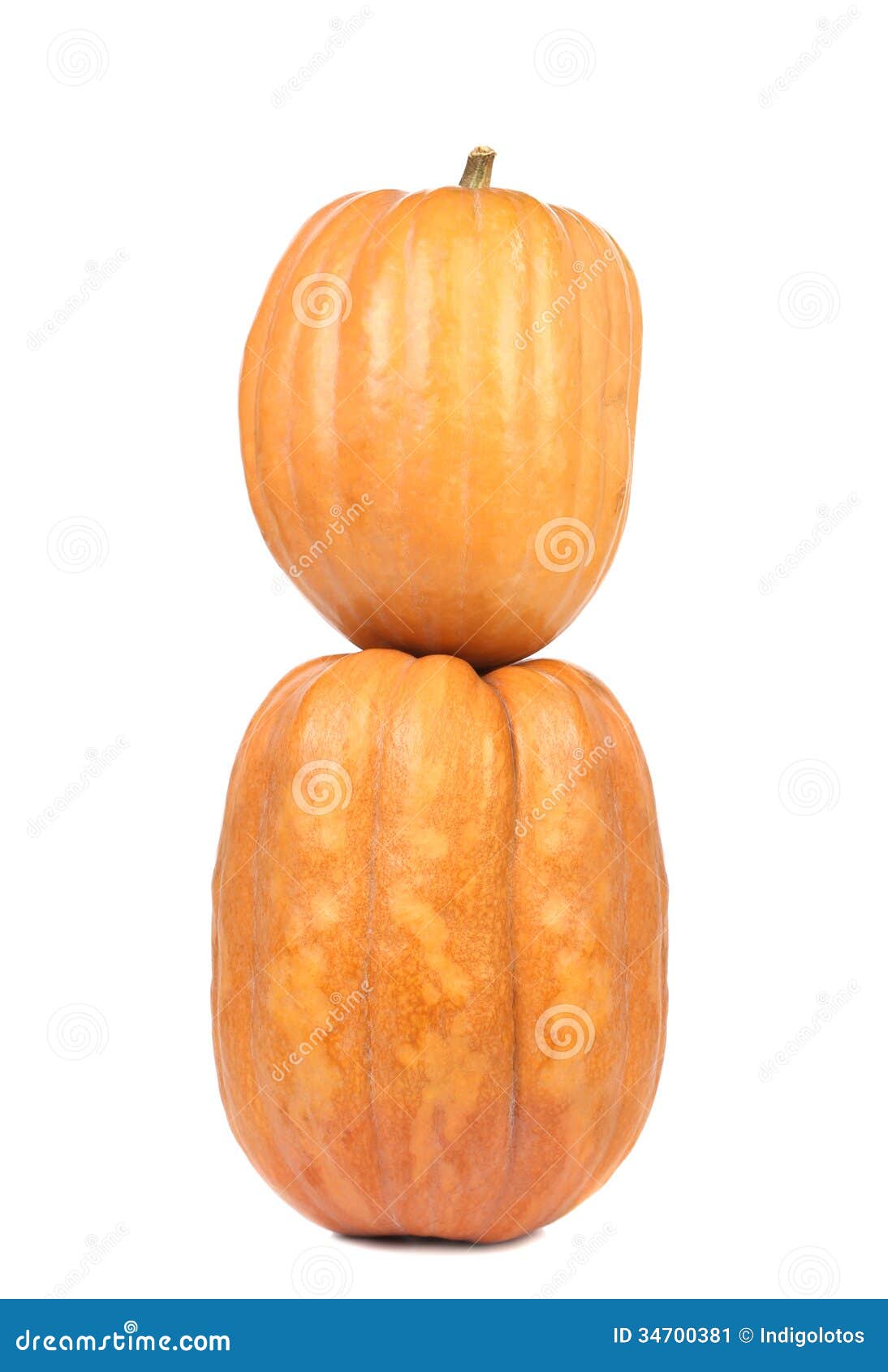 Stack of pumpkins. stock image. Image of white, gourd - 34700381