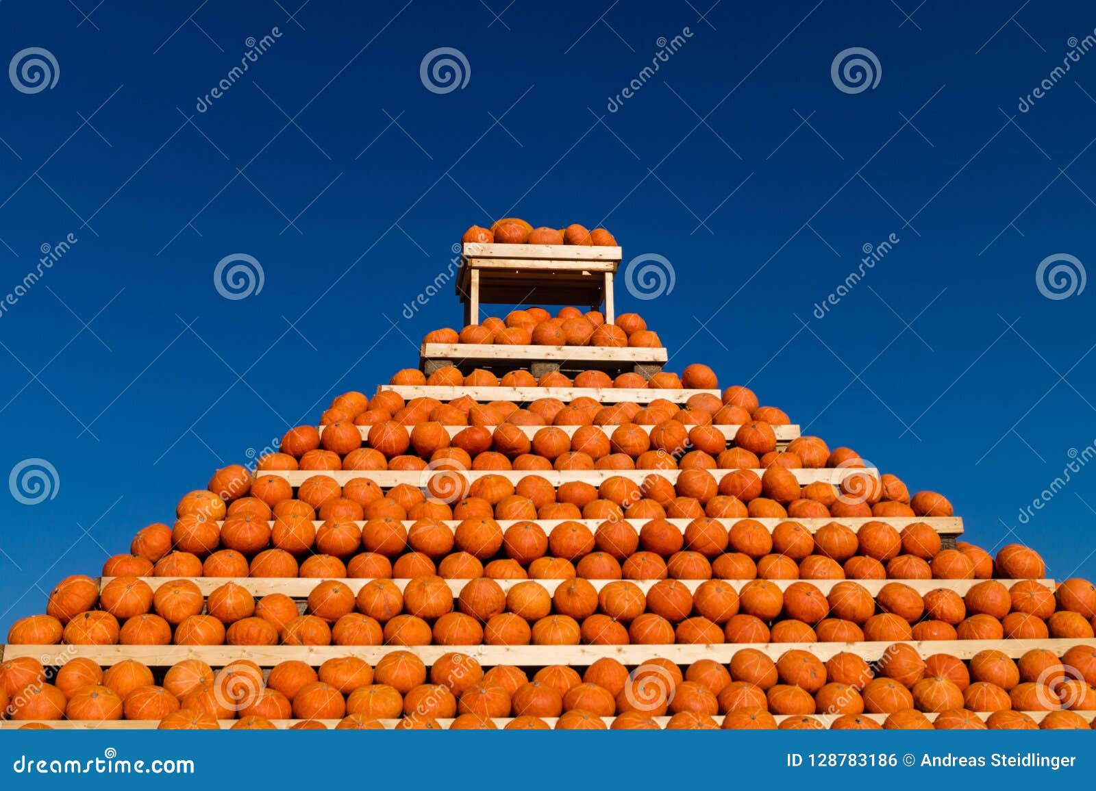 Stack of pumpkins stock photo. Image of decorative, holiday - 128783186
