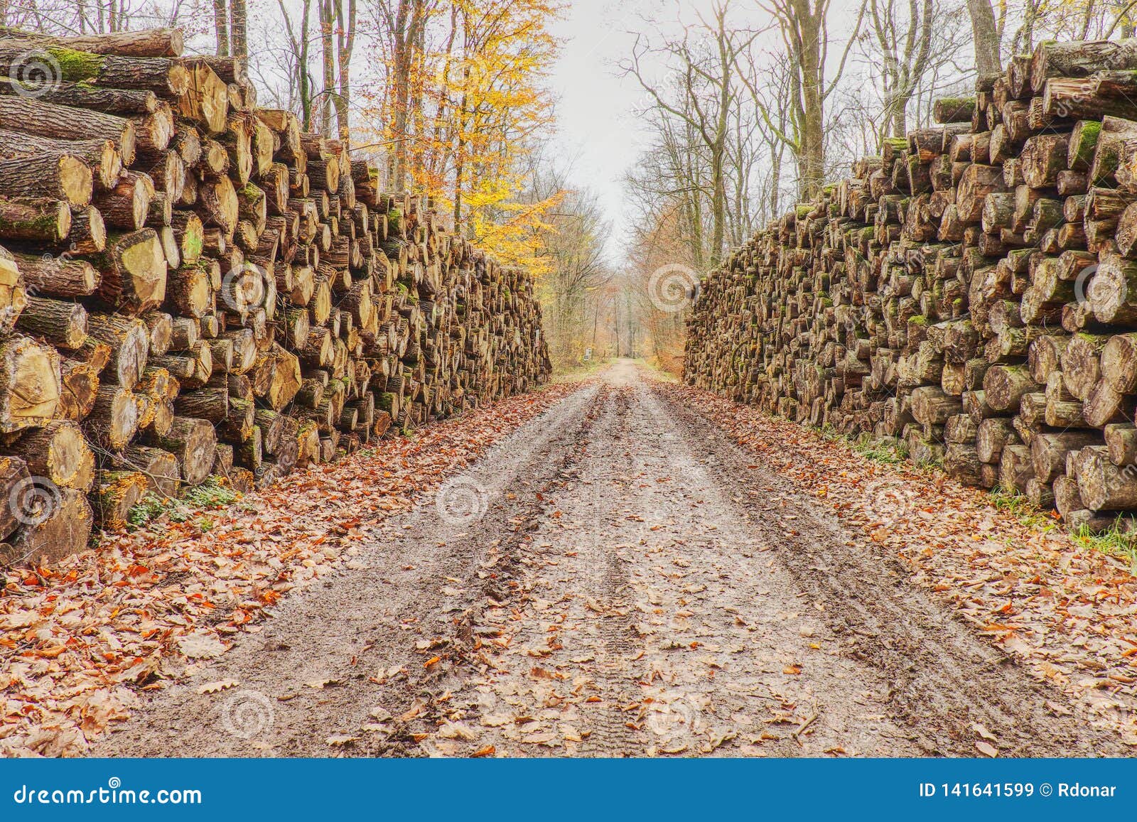 Stack of Raw Wooden Lumber on Place at Track Stock Image - Image of ...