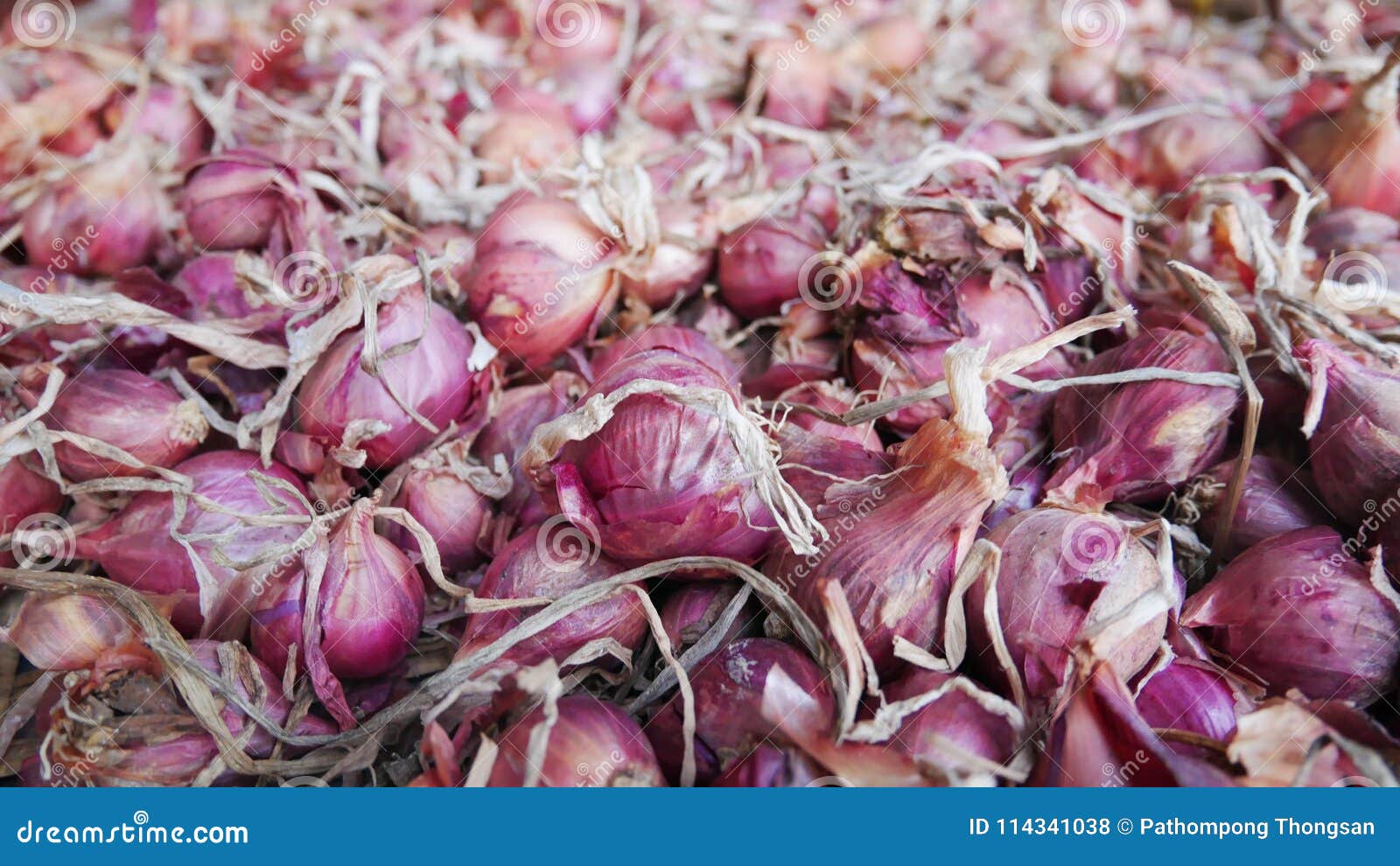 Stack red onion, stock photo. Image of life, natural - 114341038