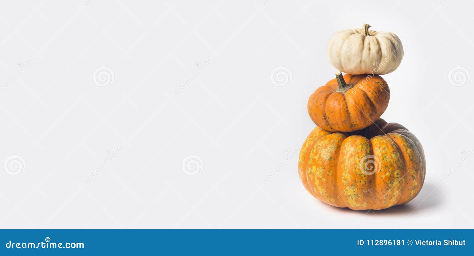 Stack of Ripe Pumpkins on White Background, Front View, Copy Space ...