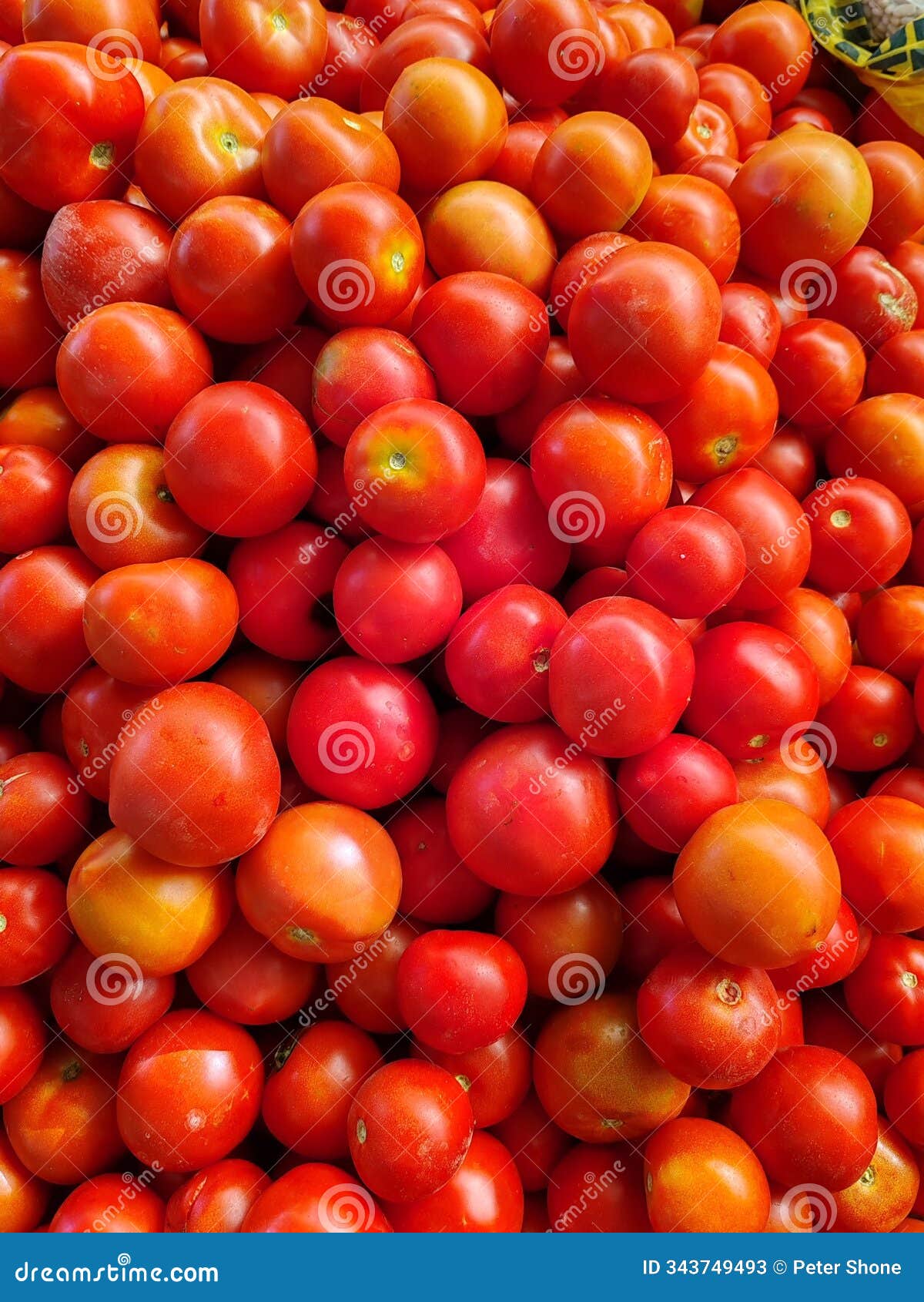 Stack of almost Ripe Tomatoes on a Market Stall Stock Image - Image of stall, tomatoes: 343749493