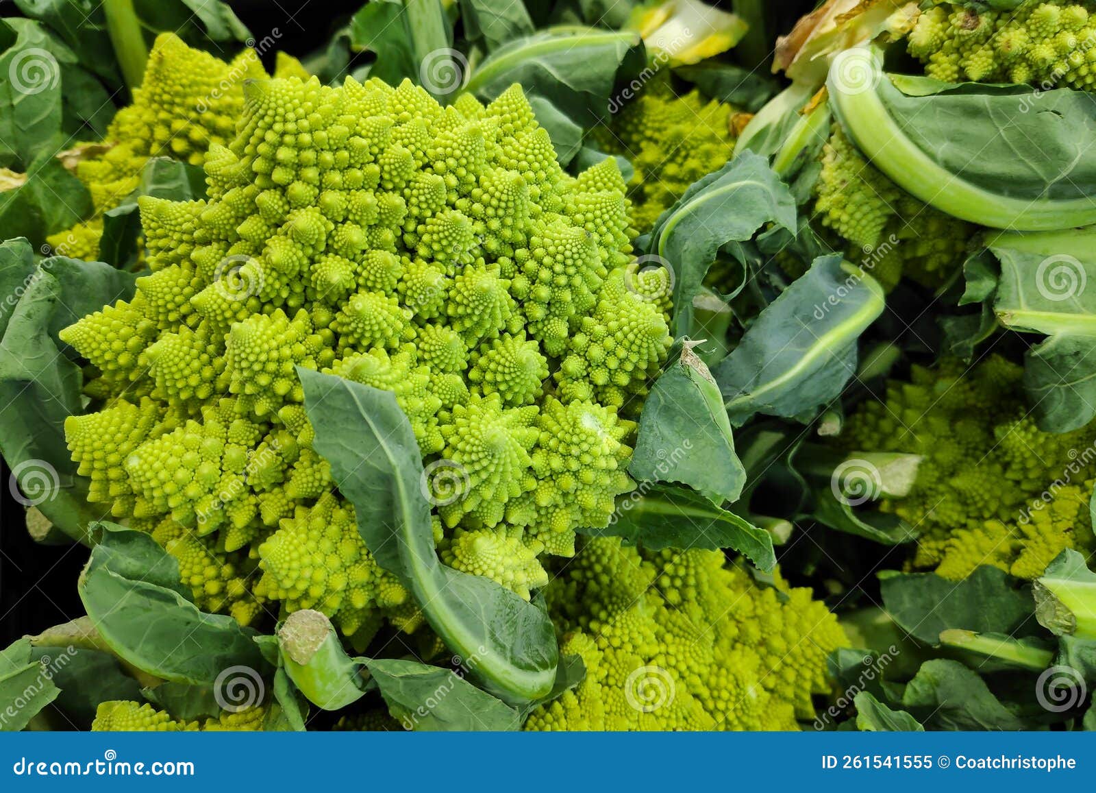Stack of Romanesco Broccolis on a Market Stall Stock Image - Image of ...