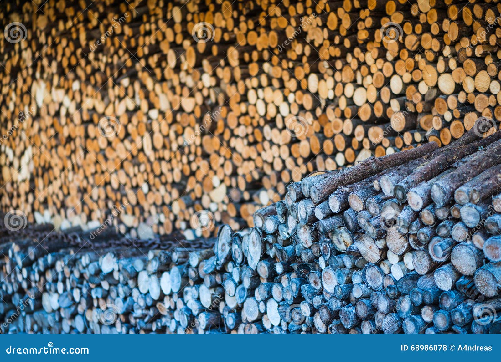 Stack of Round Branch Wood Pieces Stock Photo - Image of pieces, fire ...