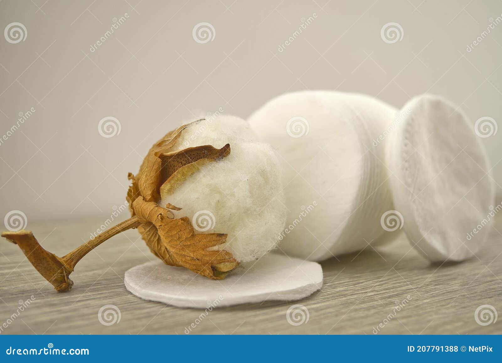Stack of Round Cotton Pads and Natural Cotton Boll Stock Photo - Image ...