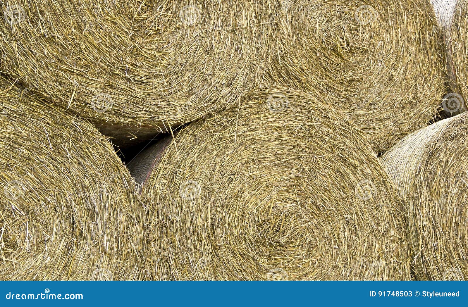 Stack of round haybales stock image. Image of natural - 91748503
