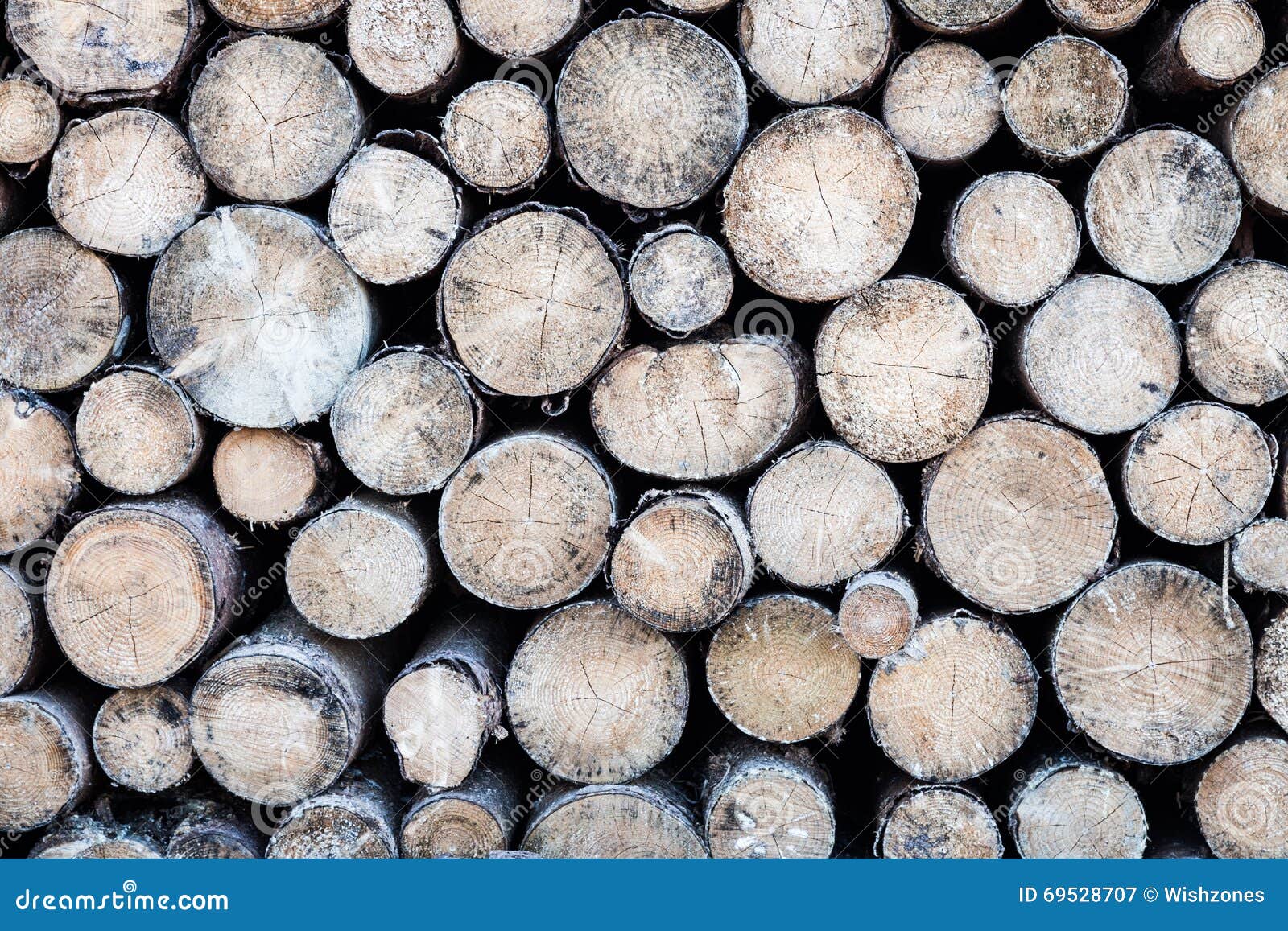 Stack of round wood stock image. Image of sunlight, tree - 69528707