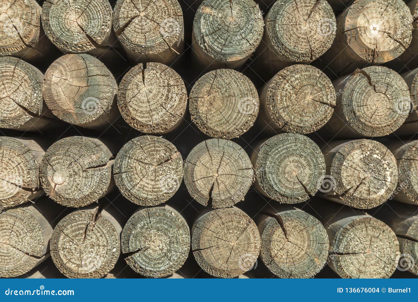 Round wooden pillars stock photo. Image of brown, fence - 136676004