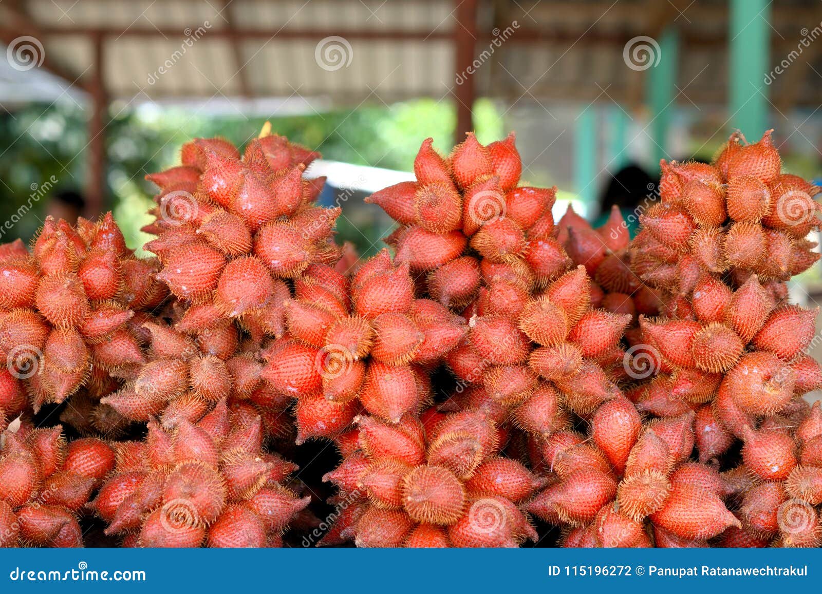 A Stack of Salacca in Thailand. Stock Photo - Image of fruits, diet ...
