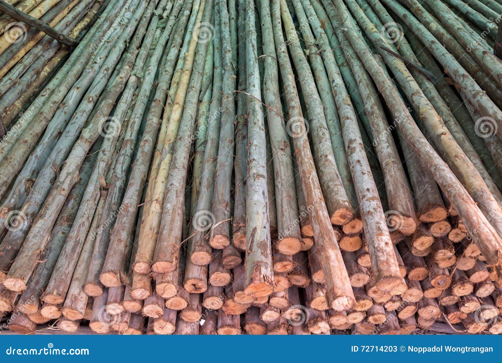 Stack of sawn timber stock image. Image of pine, plank - 72714203