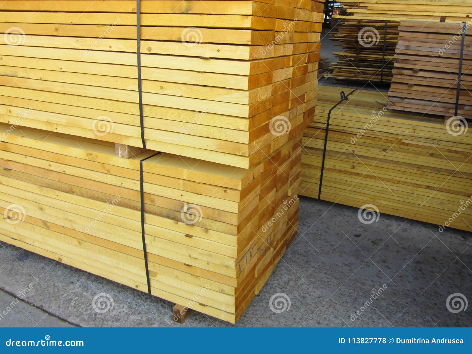Stack of sawn timber stock photo. Image of logging, industry - 113827778
