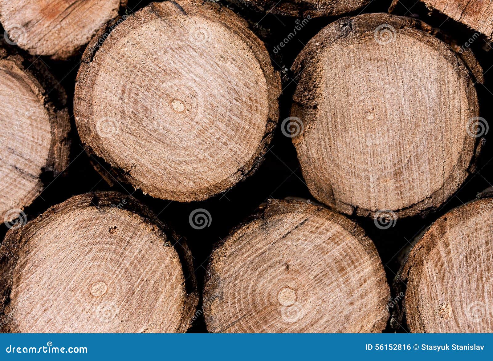 Stack of sawn wood stock photo. Image of round, circle - 56152816