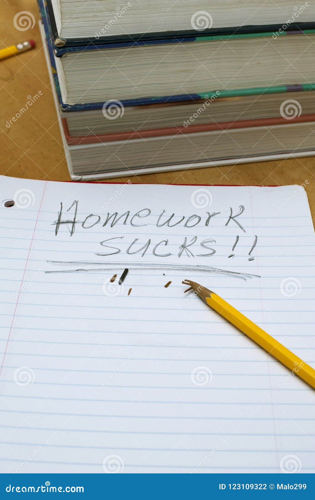 Stack of Books with Homework Sucks Written in Notebook Stock Photo ...