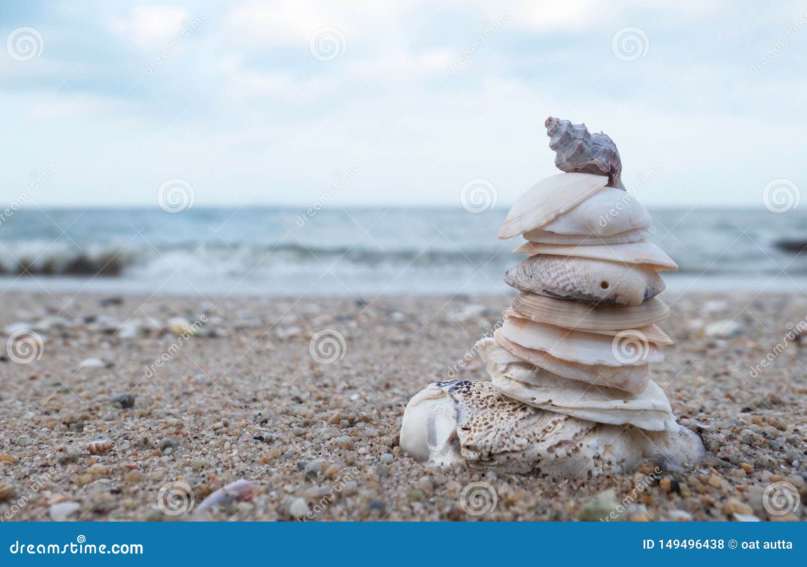 Stack of Sea Shell at the Beach with Sea and Blue Sky on Background ...